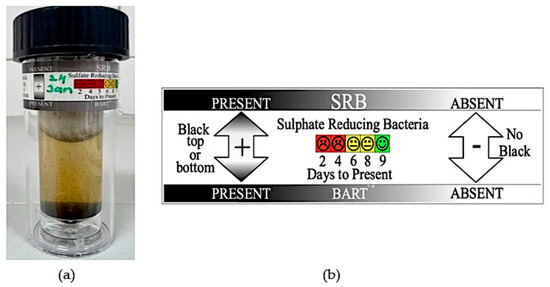 Effect of Acetate on Microbiologically Influenced Corrosion of Internal ...