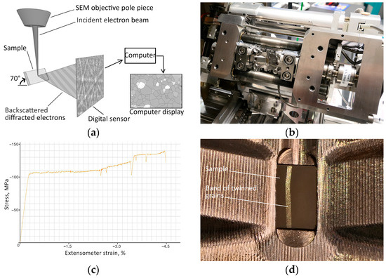 In Situ Uniaxial Compression of Textured Magnesium AZ31B
