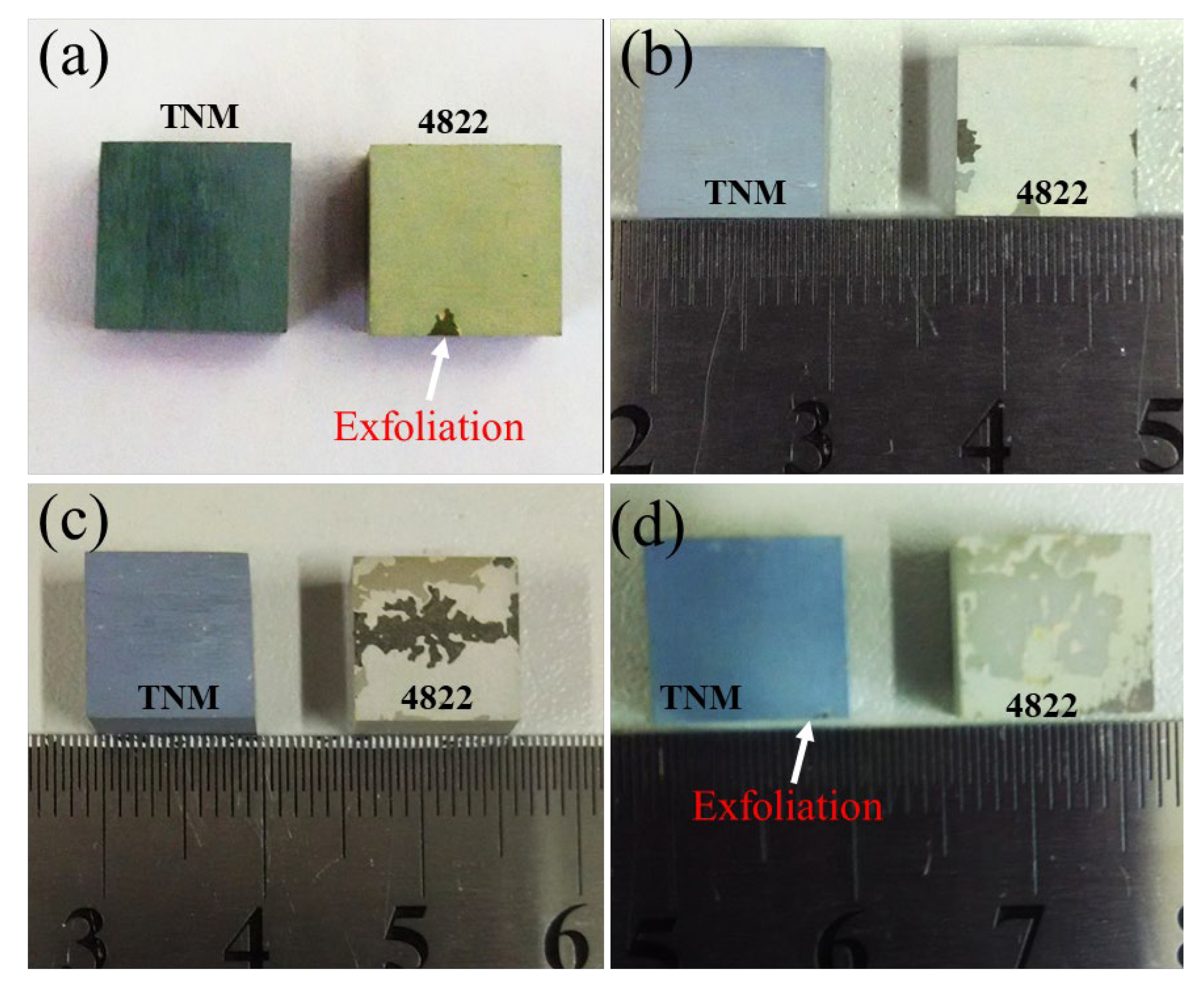 Cyclic Oxidation Kinetics and Thermal Stress Evolution of TiAl Alloys ...