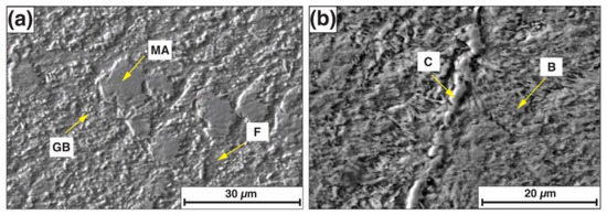 Exploring the Manufacturing Process of a Renaissance Breach Pike