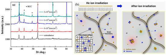 A Review of Irradiation-Tolerant Refractory High-Entropy Alloys