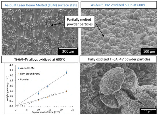 Metals | Free Full-Text | Corrosion and Wear Behavior of Additively ...
