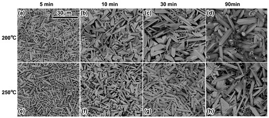 Identification and Evolution of Intermetallic Compounds Formed at the ...
