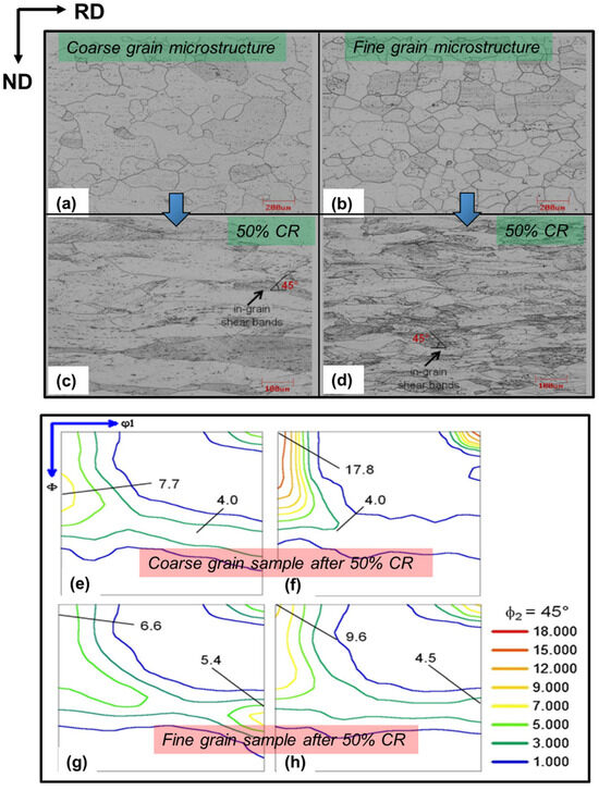Evolution of Microstructure and Crystallographic Texture in Deformed ...