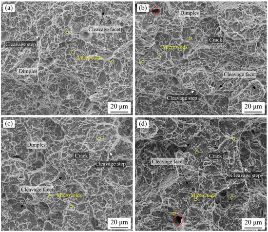 Metals | Free Full-Text | Heat Treatment Process, Microstructure, and ...