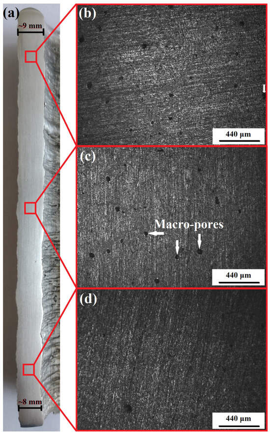 Structure Formation and Mechanical Properties of Wire Arc Additively ...