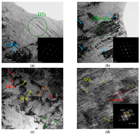 Heterogeneous Microstructure and Tensile Properties of an Austenitic Stainless Steel