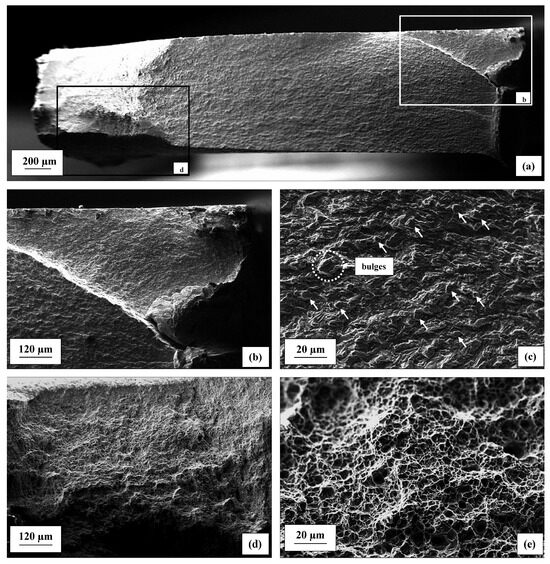 Fatigue and Impact Behavior of Friction Stir Processed Dual-Phase ...