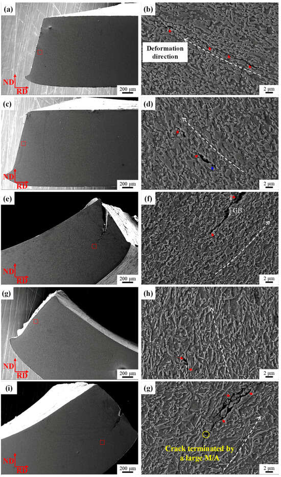 Evolution of Microstructure, Properties, and Fracture Behavior with Annealing Temperature in ...