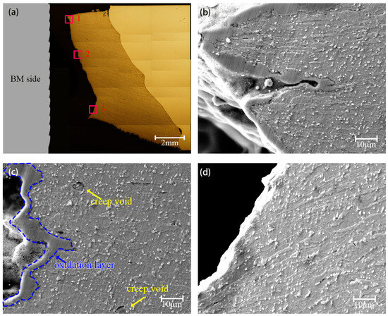 The Influence of Groove Geometry on the Creep Fracture Behavior of ...