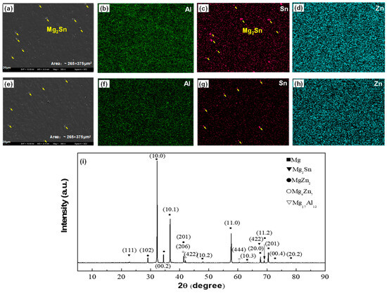 Twinning–Detwinning-Dominated Cyclic Deformation Behavior of a High ...