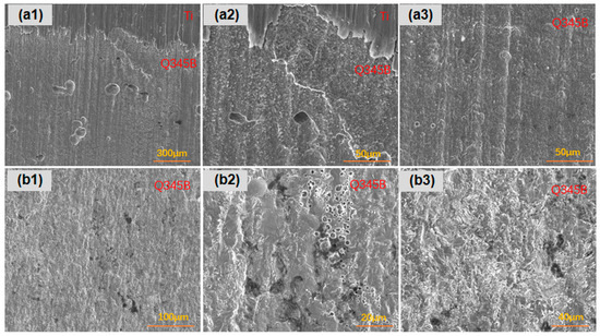 A Study on the Influence of Different Defect Types on the Corrosion ...