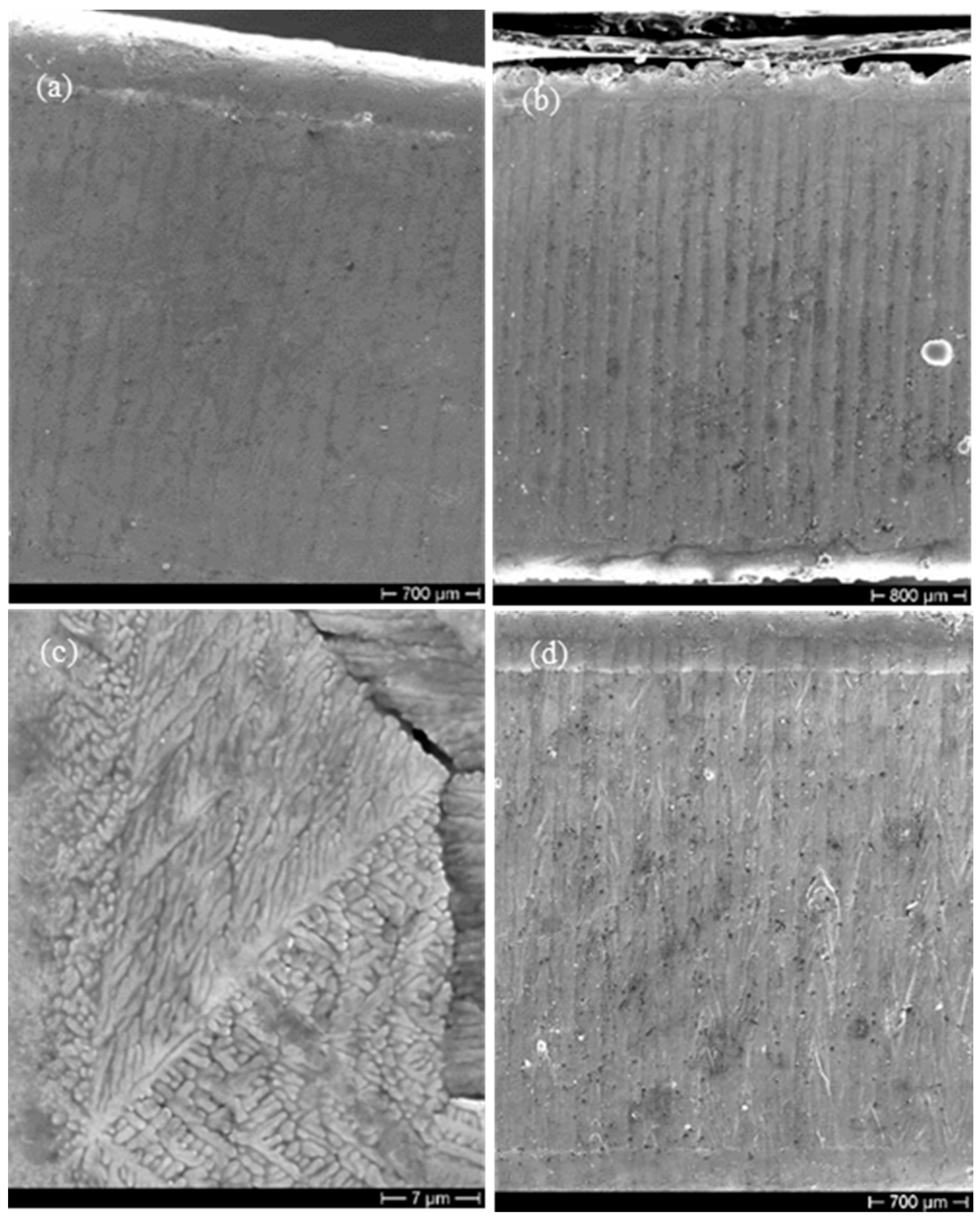 Metallurgical Defects and Roughness Investigation in the Laser Powder ...