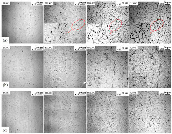 Metals | Free Full-Text | Effect of Bismuth Content and Heating Rate on ...