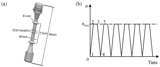 Plastic Shakedown Behavior and Deformation Mechanisms of Ti17 Alloy ...