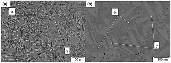 Phase Transformations after Heat Treating an As-Cast Fe-30Mn-8.8Al-0 ...