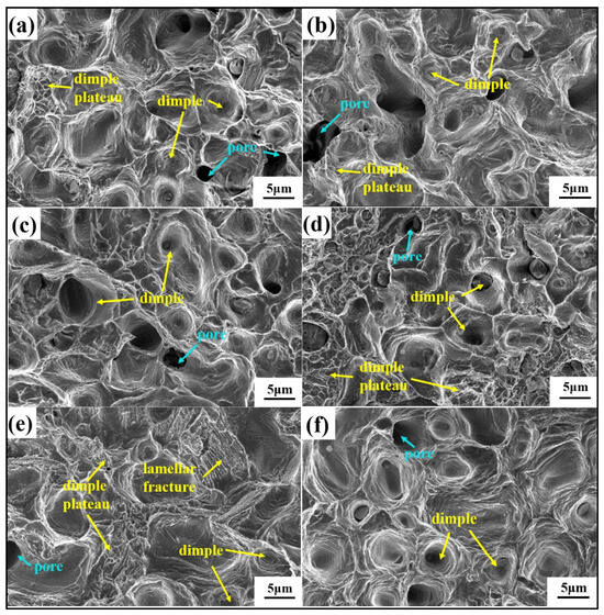 Achieving Homogeneous Microstructure and Superior Properties in High-N ...