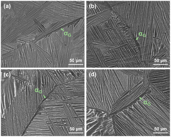 Microstructural Evolution and Subsequent Mechanical Properties of Ti65 ...