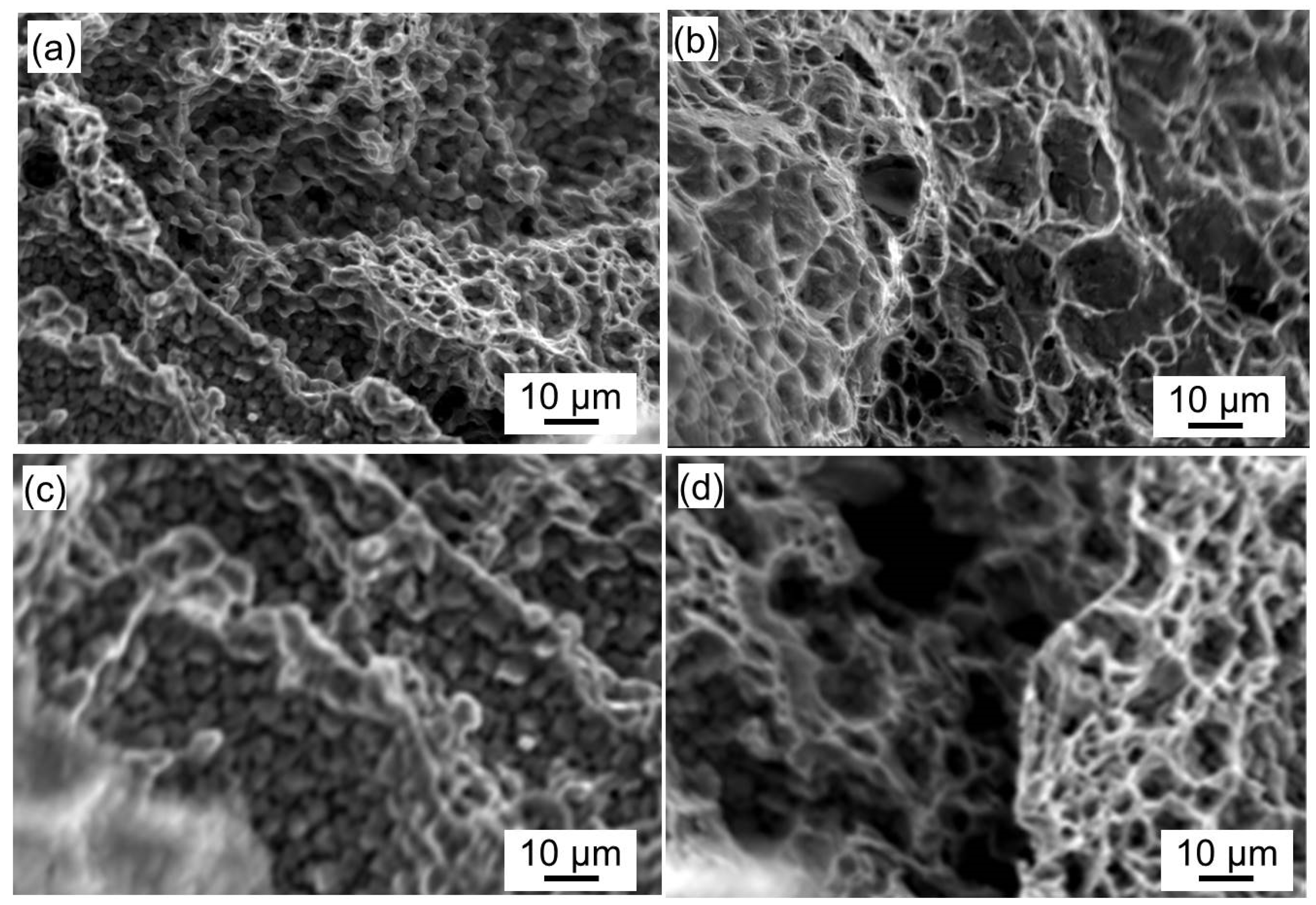 Effect of Al or Cu Content on Microstructure and Mechanical Properties of Zn Alloys Fabricated ...