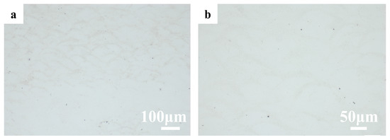 Metals | Free Full-Text | Study on Microstructure and High-Temperature Mechanical Properties of ...