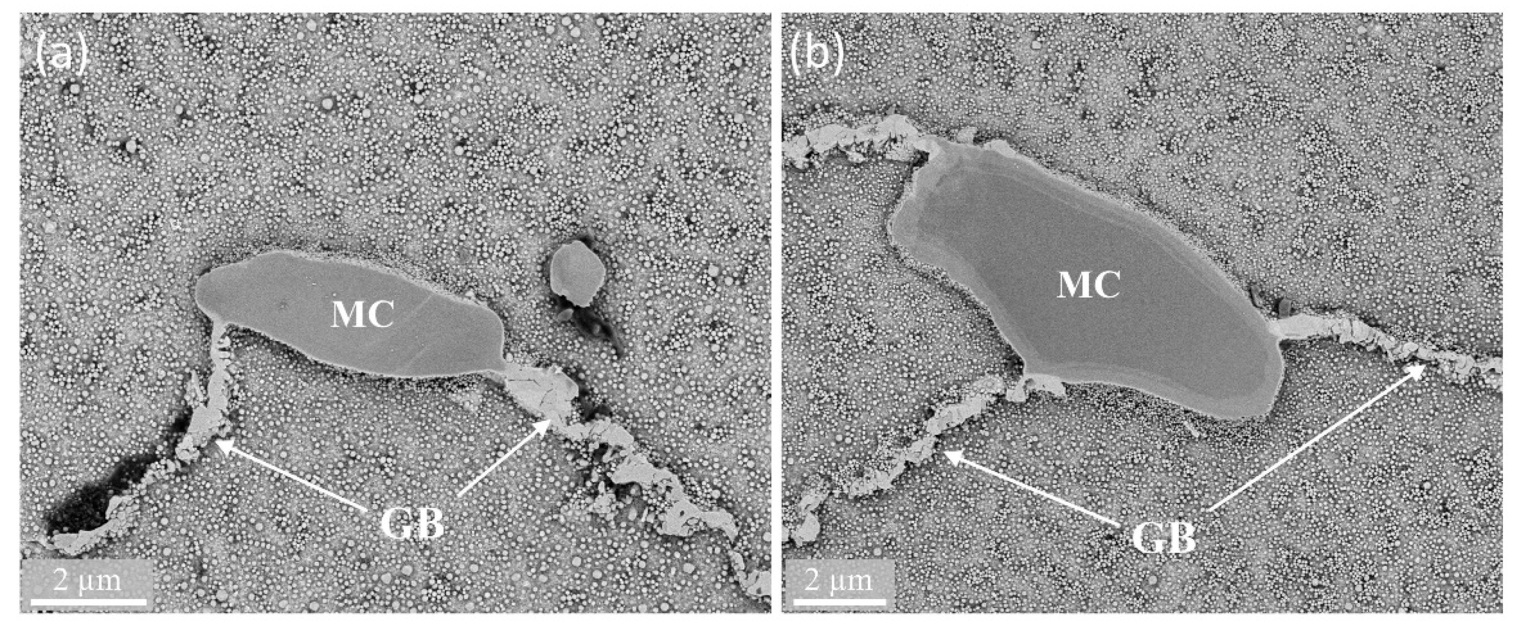 Phase Mapping Using a Combination of Multi-Functional Scanning Electron Microscopy Detectors and ...