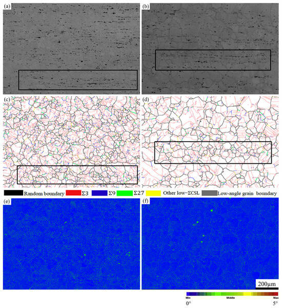 Effects of the Primary Carbide Distribution on the Evolution of the ...