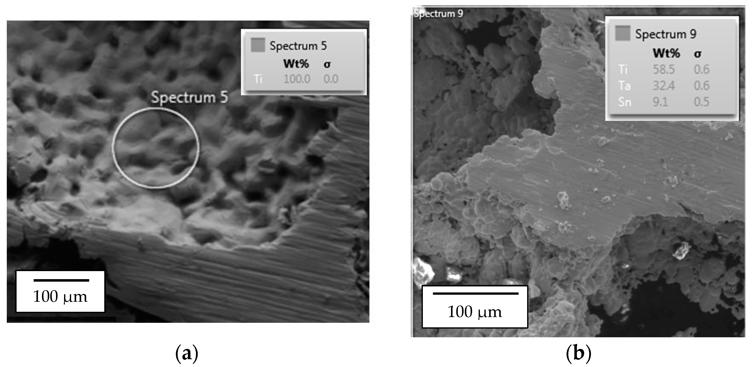 Synthesis and Characterization of Ti-13Ta-6Sn Foams Produced Using ...