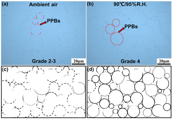 Microstructure and Fatigue Behavior of PM-HIPed Ni-Based Superalloys ...