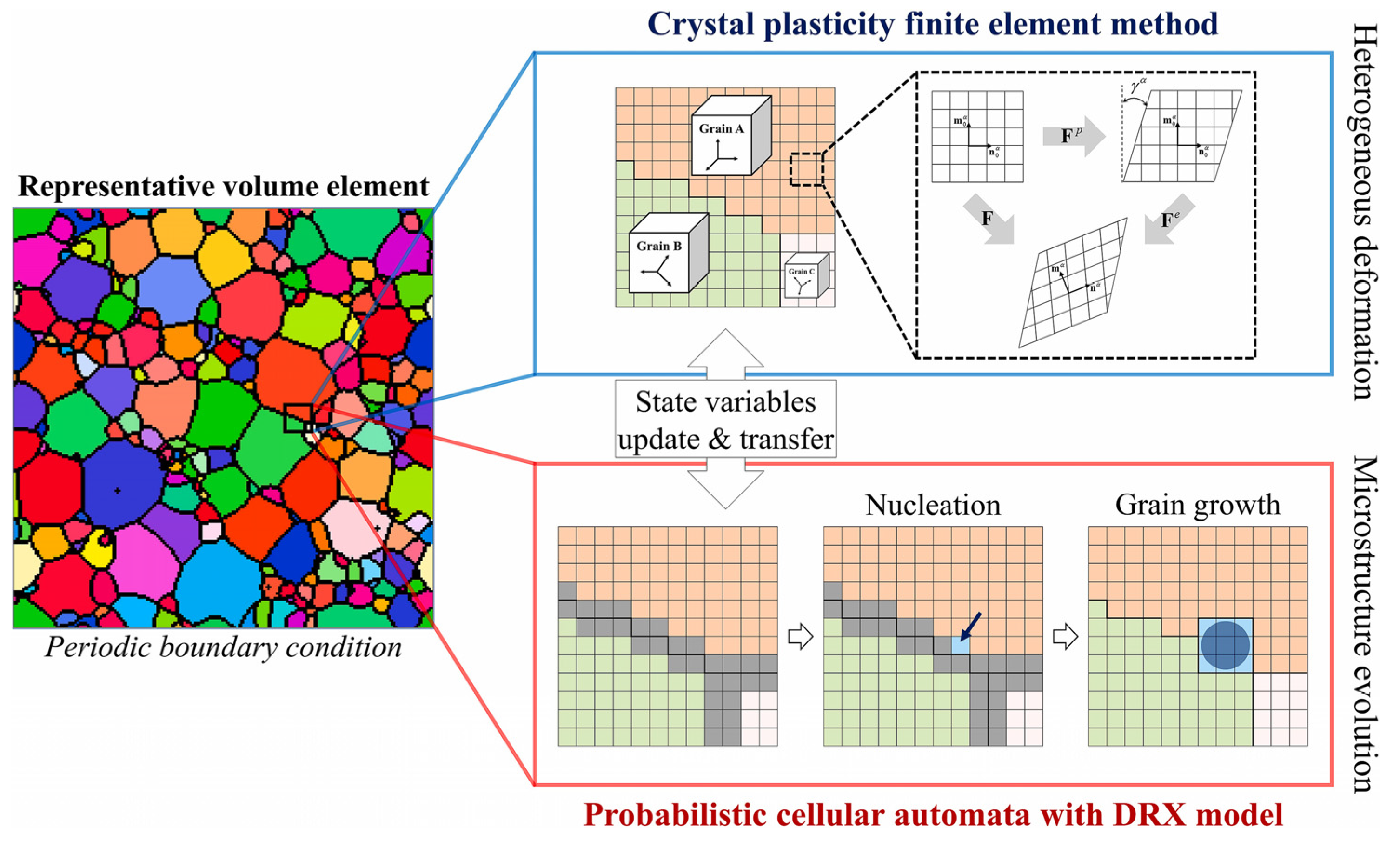 State-of-the-Art Review of the Simulation of Dynamic Recrystallization