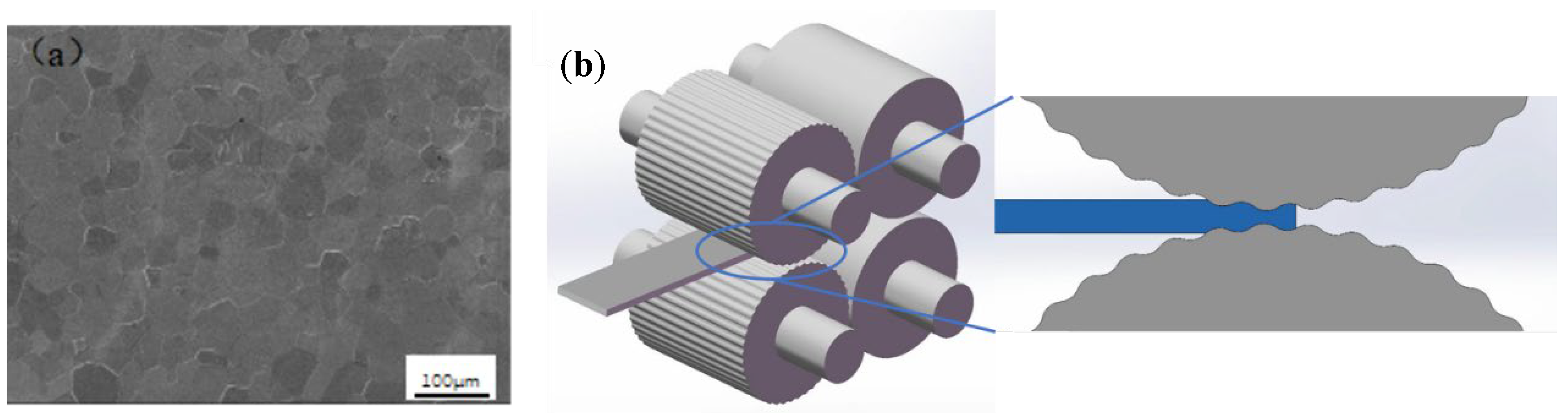 Microstructure Evolution and Mechanical Properties of Pure Ti Alloy ...