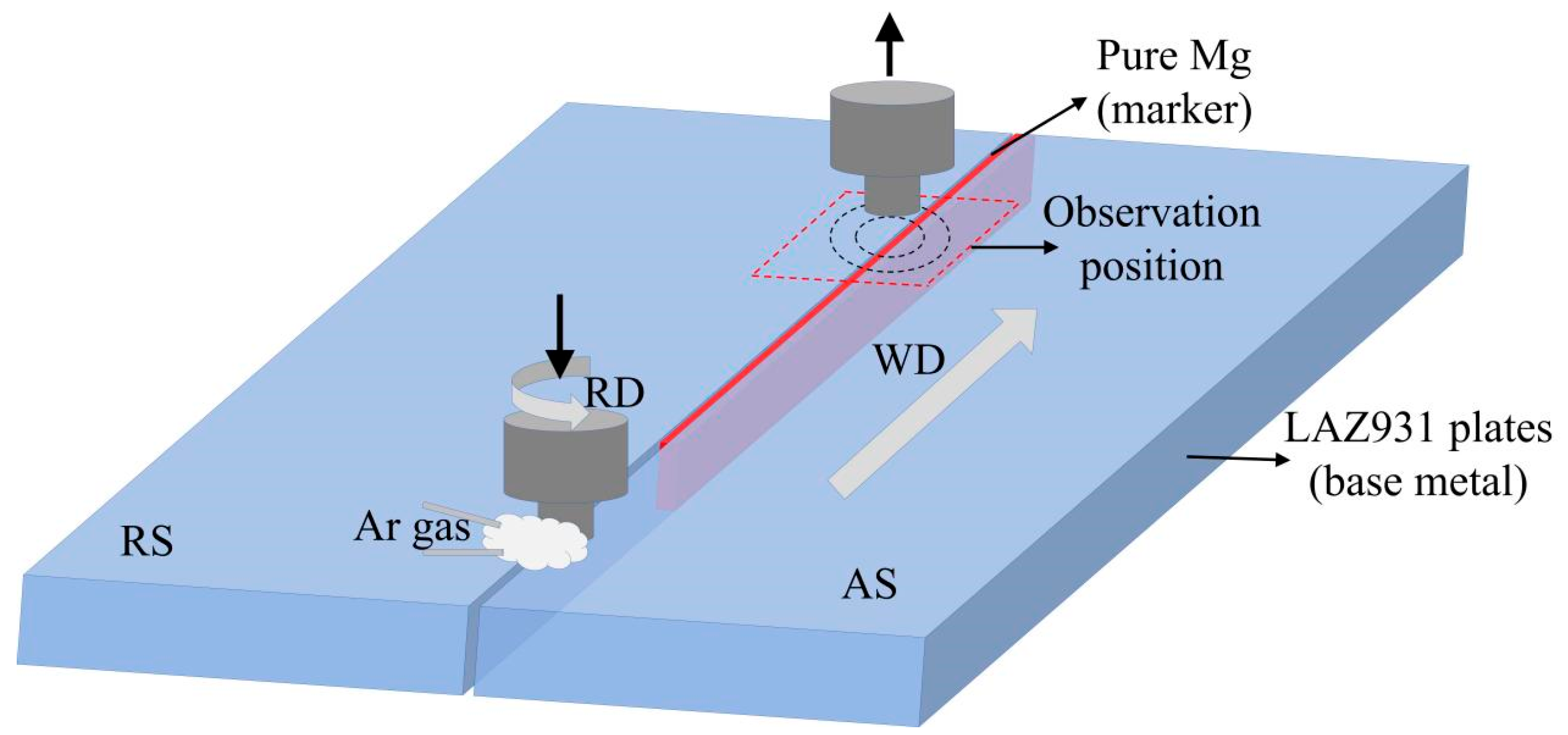 Material Flow and Microstructural Evolution in Friction Stir Welding of LAZ931 Duplex Mg-Li Alloys