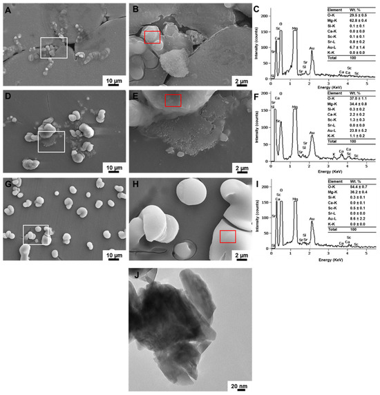 Fabrication and Processing of Magnesium-Based Metal Matrix ...
