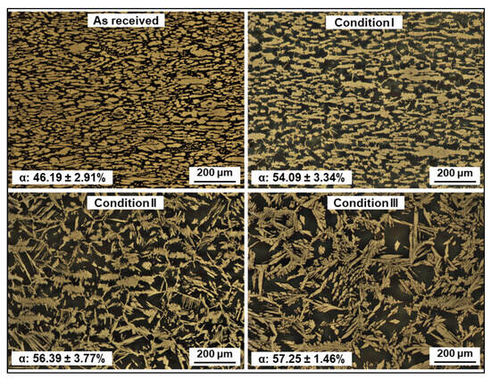 Microstructural and Electrochemical Analysis of the Physically ...