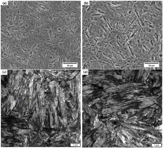 Effect of Ti and TiNb Microalloying on Microstructures and Mechanical Properties of 2200 MPa Low ...