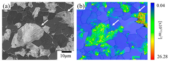 The Effect of Heat Treatment and Cold Forging on the Mechanical ...