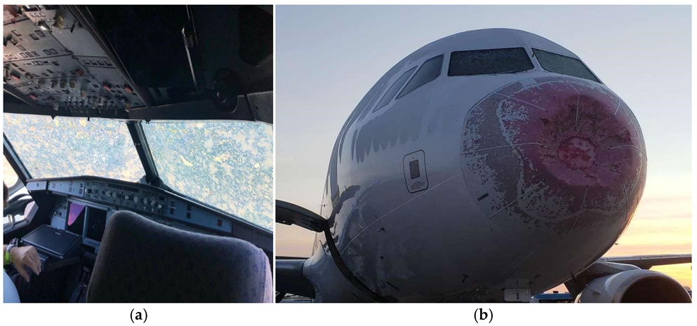 Airplane Emergency Landing Due to Quick Development of Mesoscale ...