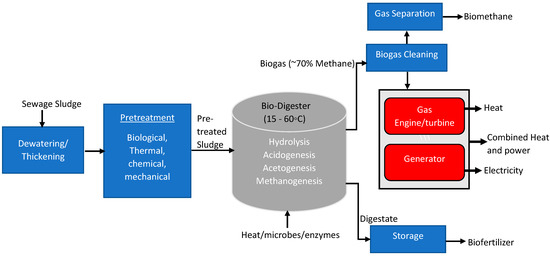 Biogas and Syngas Production from Sewage Sludge: A Sustainable Source ...
