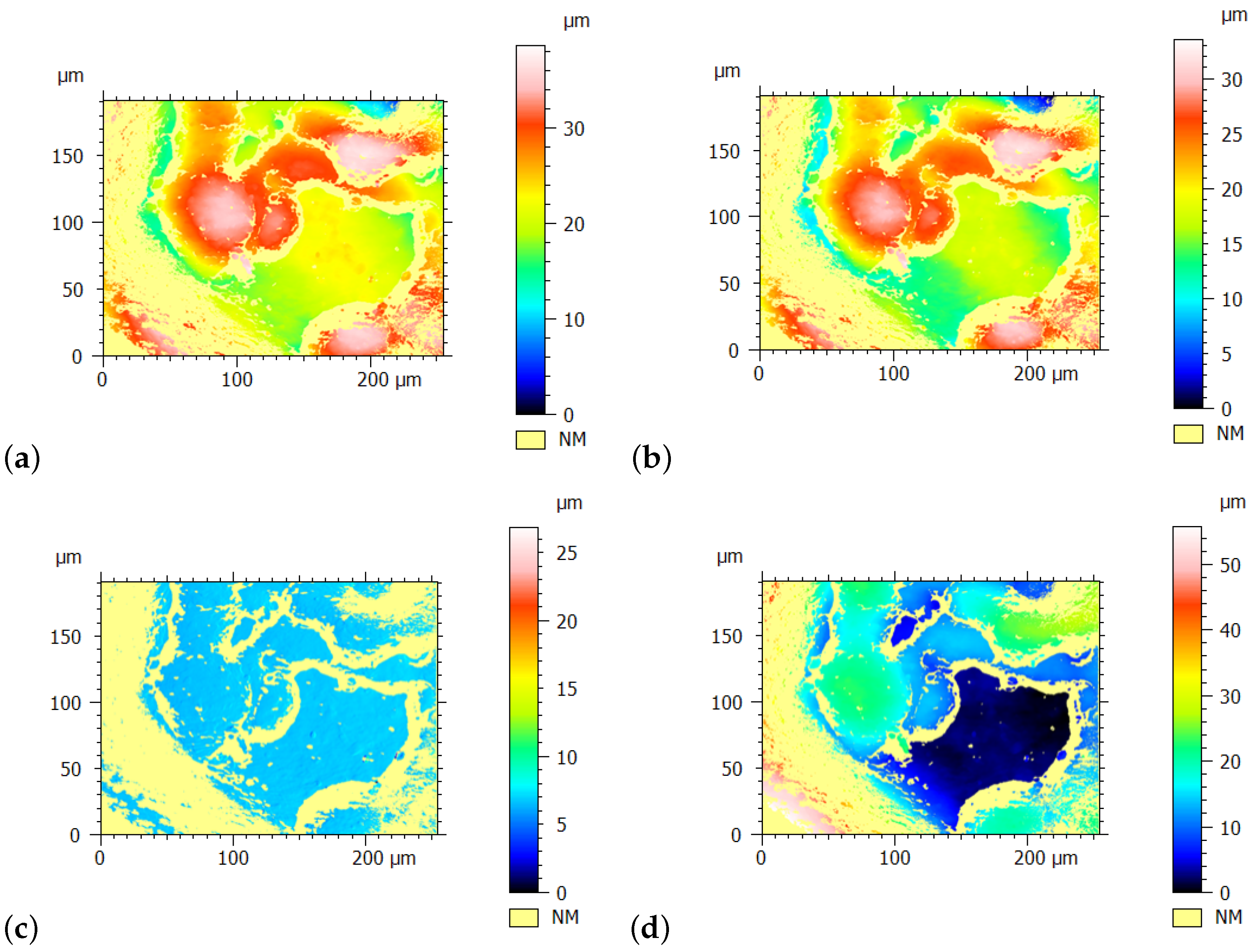 SurfILE: An Open-Source Python Package for Surface Topography Analysis
