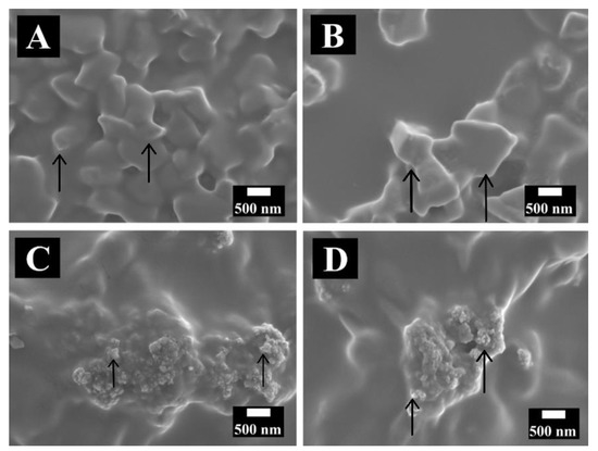Micro | An Open Access Journal from MDPI