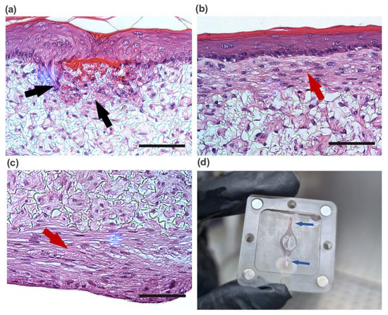 Micro | An Open Access Journal from MDPI