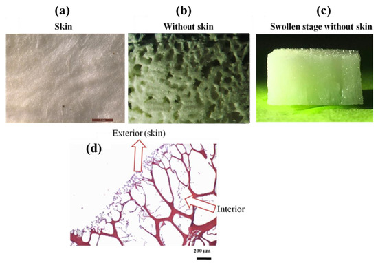 Designing Viscoelastic Gelatin-PEG Macroporous Hybrid Hydrogel with ...