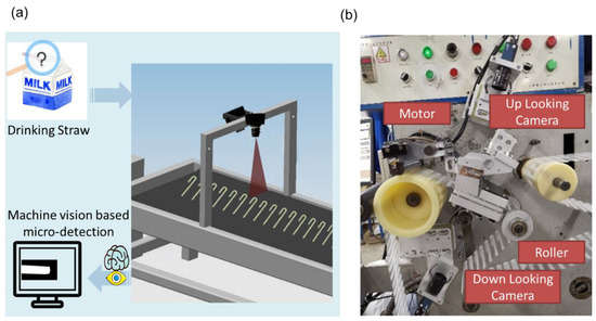 Machine Learning-Augmented Micro-Defect Detection on Plastic Straw
