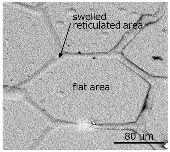 F2 Laser-Induced Micro-Reticulated Structural Changes of Amorphous ...