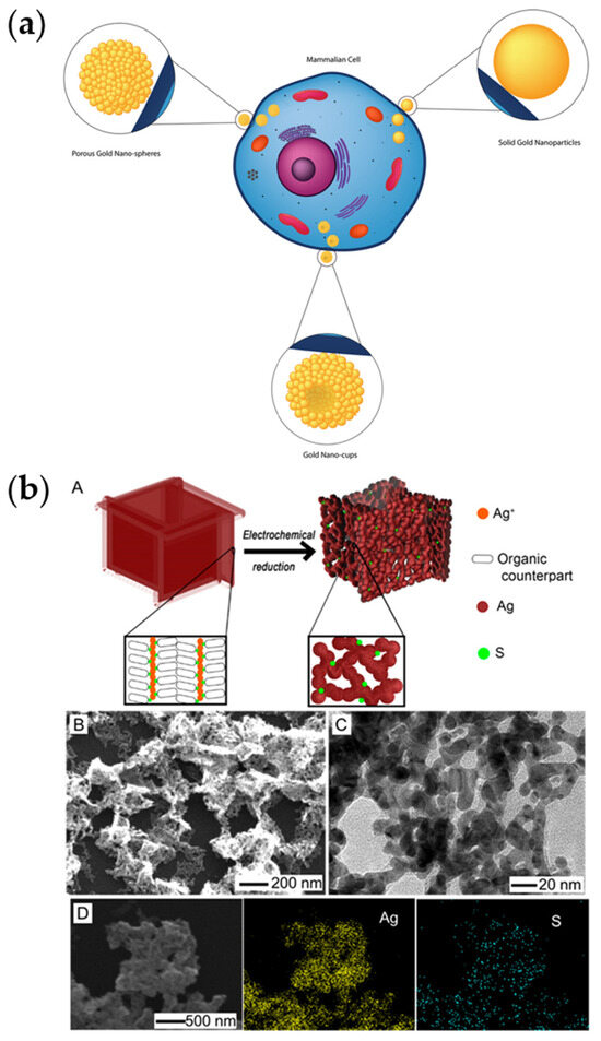 Porous Inorganic Nanomaterials: Their Evolution towards Hierarchical ...