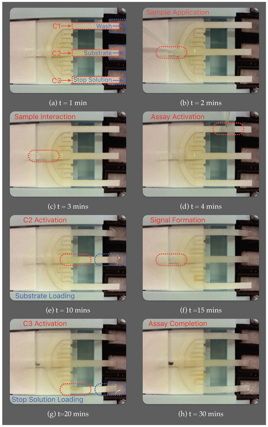 Micro | Free Full-Text | A Microfluidic Paper-Based Lateral Flow Device ...