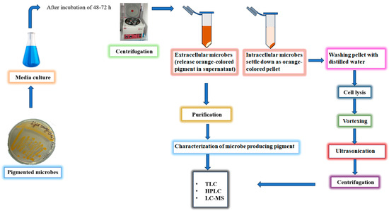 Unveiling the Intricacies of Microbial Pigments as Sustainable ...