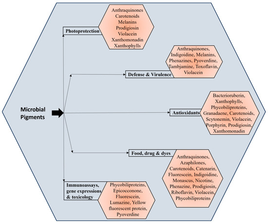 Unveiling the Intricacies of Microbial Pigments as Sustainable ...