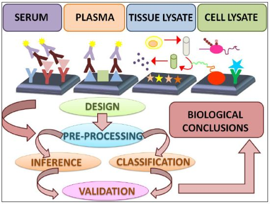 Microarrays | Free Full-Text | Data Analysis Strategies for Protein ...