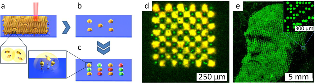 Particle-Based Microarrays of Oligonucleotides and Oligopeptides