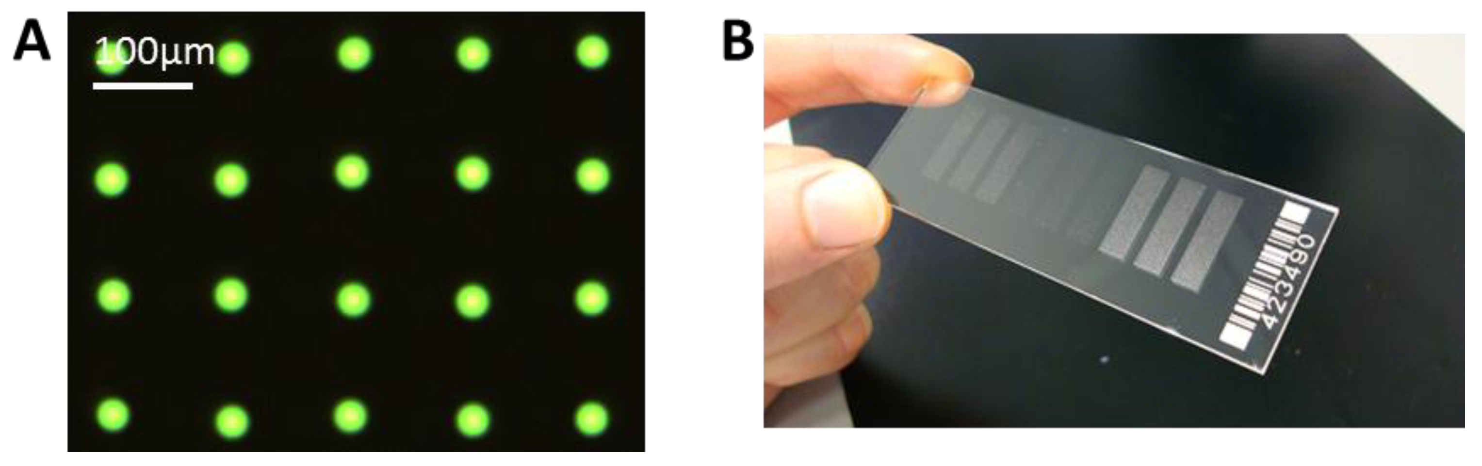 Microarrays | Free Full-Text | Fabrication of Homogeneous High-Density ...